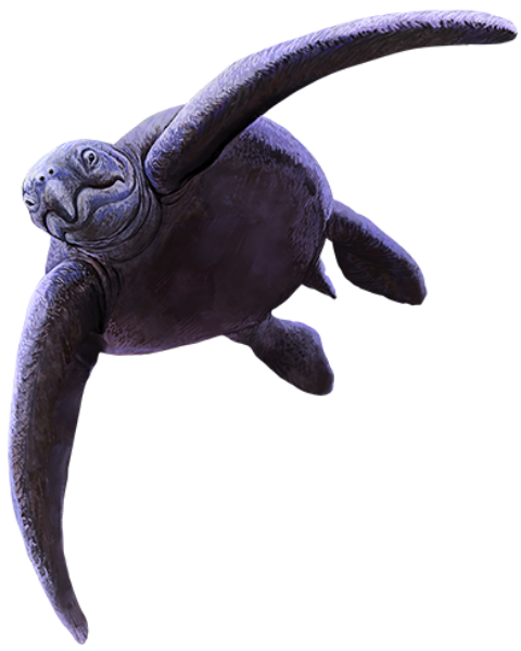 Wild kratts prehistoric-Archelon Ride! | Wild Kratts Fanon Wiki | Fandom