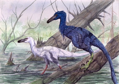 Jurassic Kratt-Unenlagia | Wild Kratts Fanon Wiki | Fandom