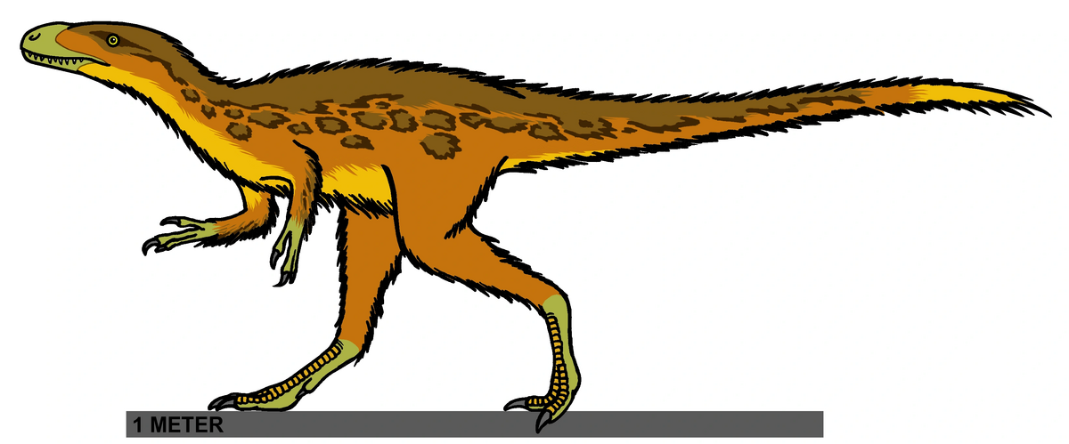 Jurassic Kratts-Dilong alert! | Wild Kratts Fanon Wiki | Fandom Jurassic Kratts-Dilong alert! | Wild Kratts Fanon Wiki | Fandom