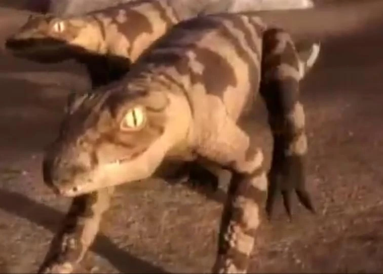 Araripesuchus racer-jurassic kratts | Wild Kratts Fanon Wiki | Fandom