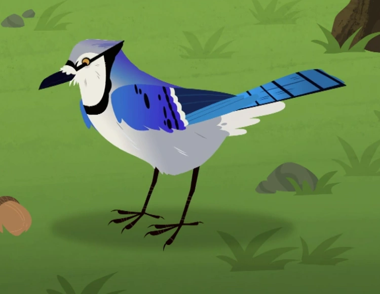 Way of the Blue Jay-wild kratts | Wild Kratts Fanon Wiki | Fandom