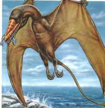 Eudimorphodon flight-jurassic kratts | Wild Kratts Fanon Wiki | Fandom