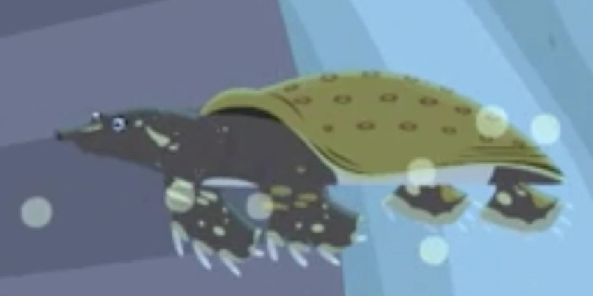 Spiny softshell turtle facts-wild kratts | Wild Kratts Fanon Wiki | Fandom