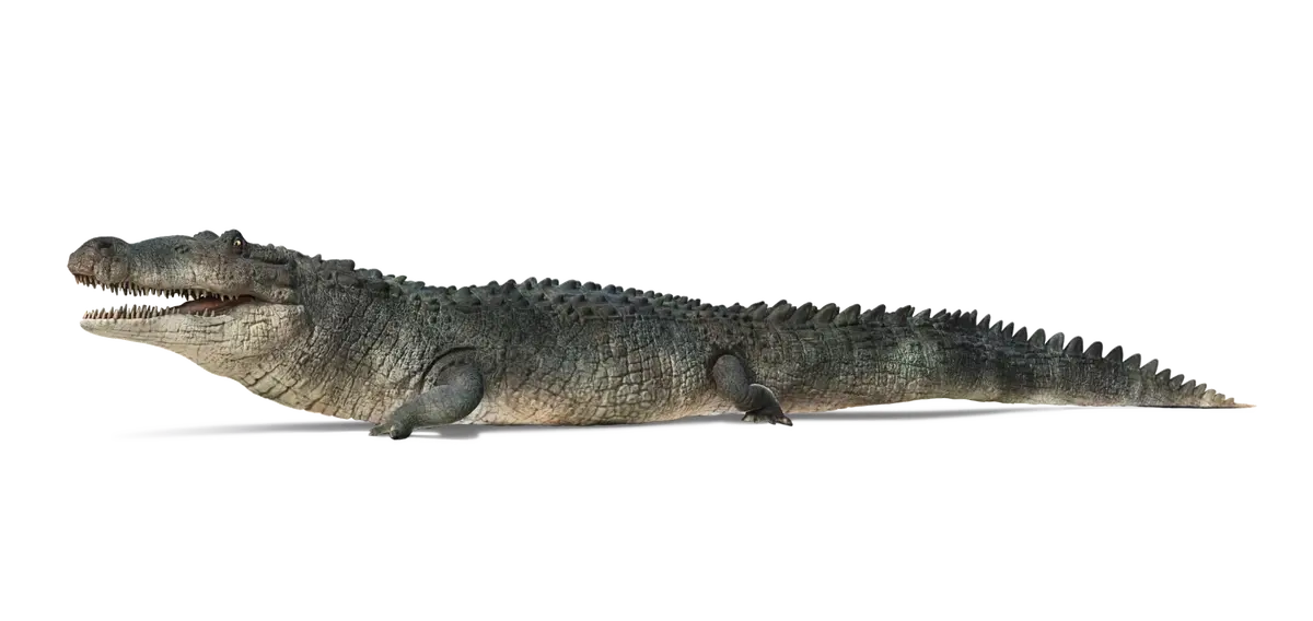 Uh oh, Deinosuchus-Wild kratts prehistoric preview | Wild Kratts Fanon ...