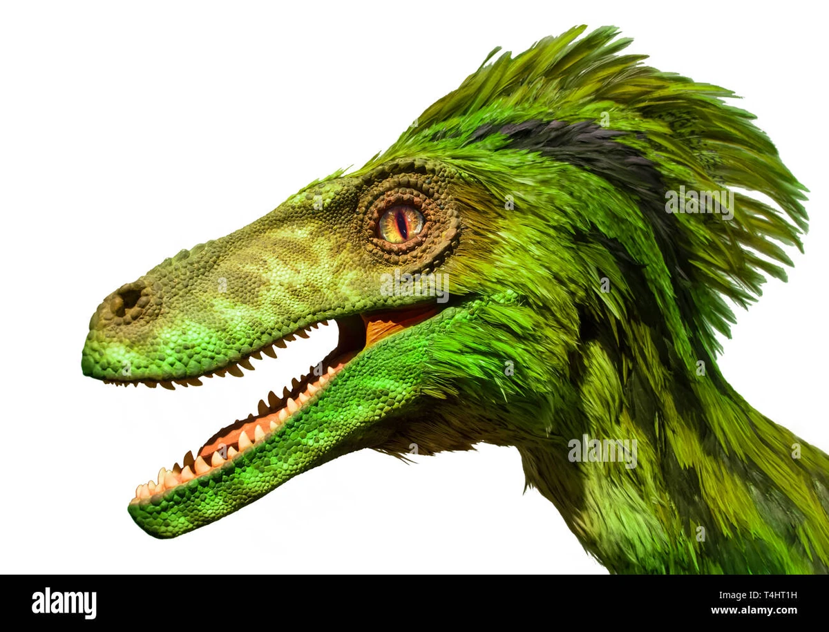 The feathered dinosaurs mission-Jurassic Kratts | Wild Kratts Fanon ...