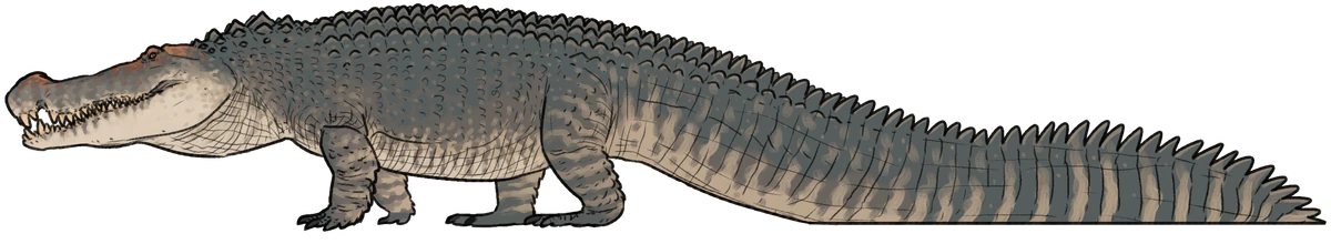 Deinosuchus delight-jurassic kratts sea adventures | Wild Kratts Fanon ...