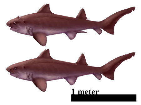 Hybodus power-Jurassic Kratts | Wild Kratts Fanon Wiki | Fandom