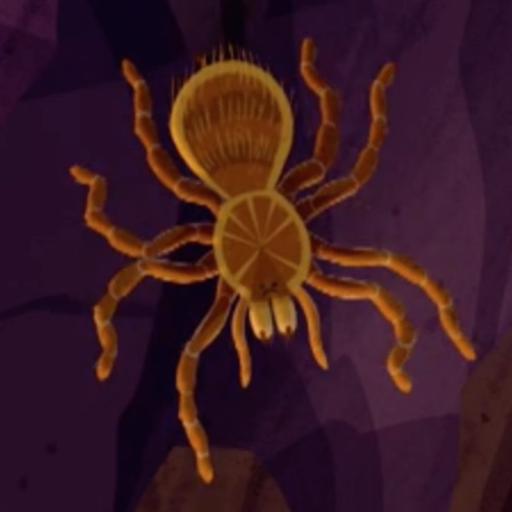 Goliath Bird-eating spider power-wild kratts bug adventures | Wild ...