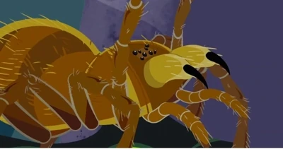 Goliath Bird-eating spider power-wild kratts bug adventures | Wild ...