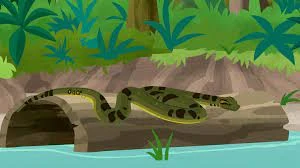 Anaconda power-wild kratts | Wild Kratts Fanon Wiki | Fandom