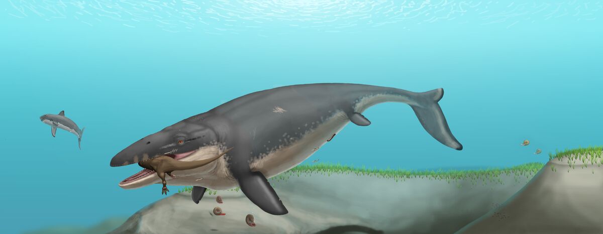 Wild kratts prehistoric-mosasaurus dive! | Wild Kratts Fanon Wiki | Fandom Wild kratts prehistoric-mosasaurus dive! | Wild Kratts Fanon Wiki | Fandom