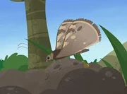 Wild Kratts-Rainforest stew Mock 2 | Wild Kratts Fanon Wiki | Fandom