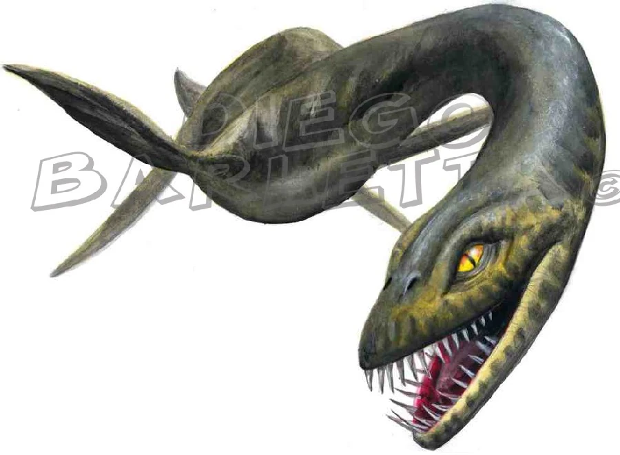 Jurassic Kratts Sea Adventures: Lord of the sea-Thalassomedon | Wild ...