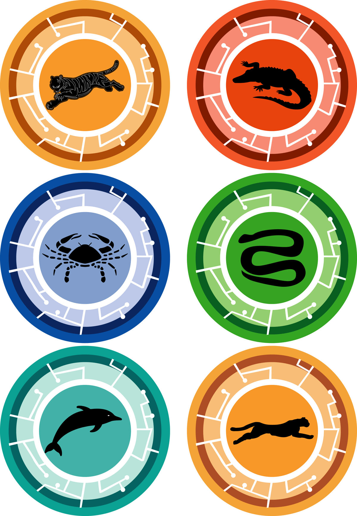 Platypus Cafe Wild Kratts Fanon Wiki Fandom