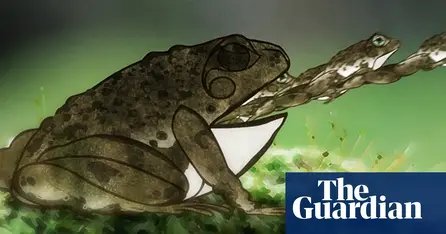 Jurassic kratts-going for gastric-brooding frogs | Wild Kratts Fanon ...