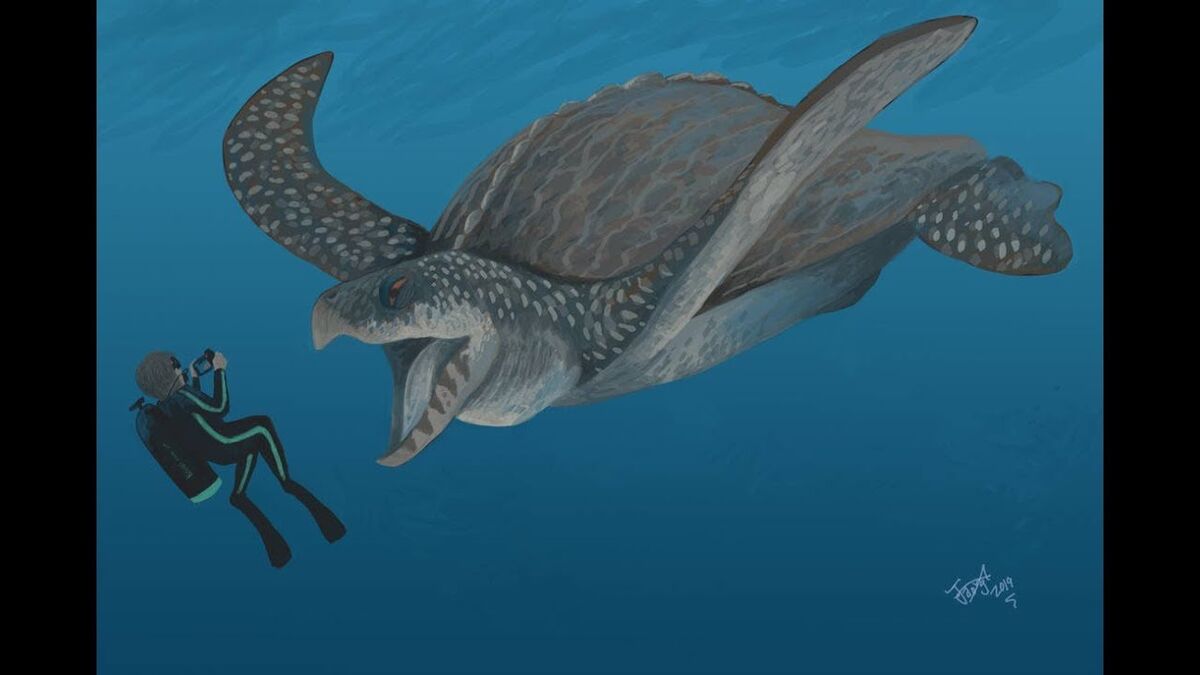 Jurassic Kratts-Archelon Rescue | Wild Kratts Fanon Wiki | Fandom Jurassic Kratts-Archelon Rescue | Wild Kratts Fanon Wiki | Fandom