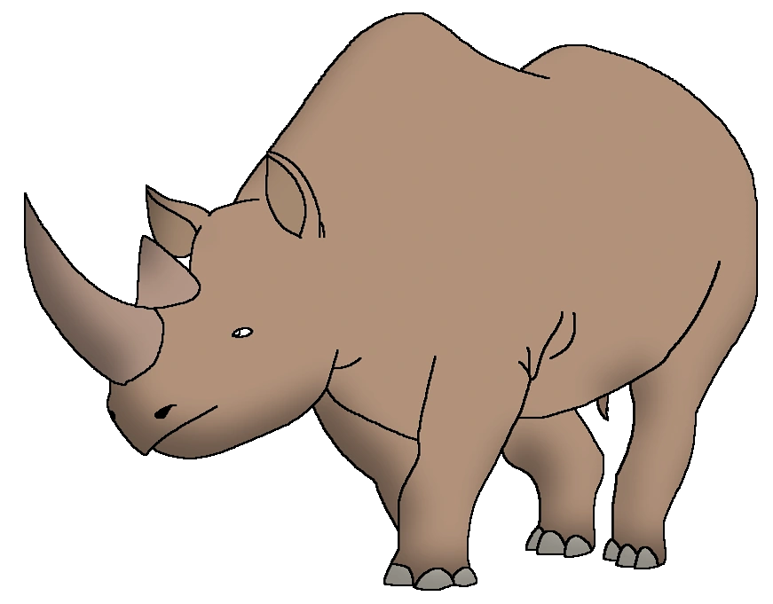 Eastern Black Rhinoceros | Wildlife Animal Pedia Wiki | Fandom
