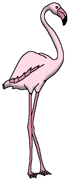Greater Flamingo | Wildlife Animal Pedia Wiki | Fandom