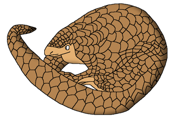 Sunda Pangolin | Wildlife Animal Pedia Wiki | Fandom