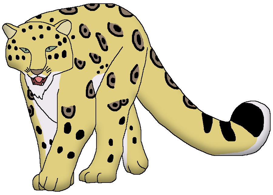 Snow Leopard | Wildlife Animal Pedia Wiki | Fandom