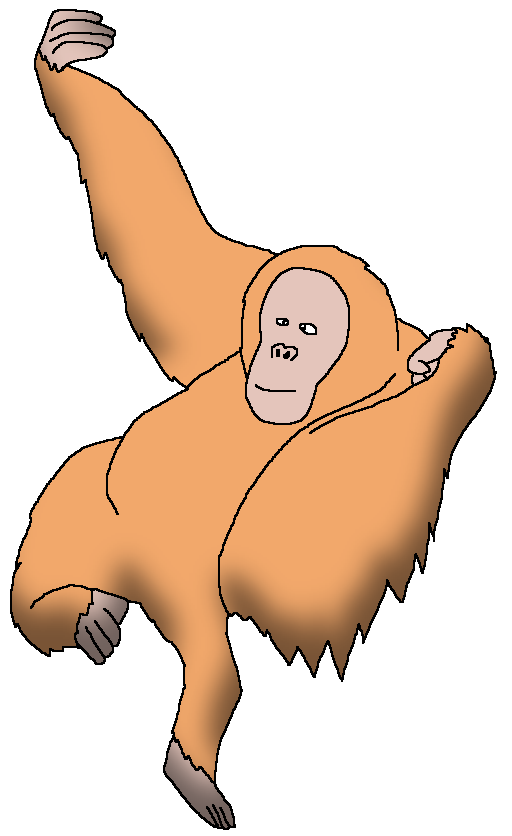 Sumatran Orangutan | Wildlife Animal Pedia Wiki | Fandom