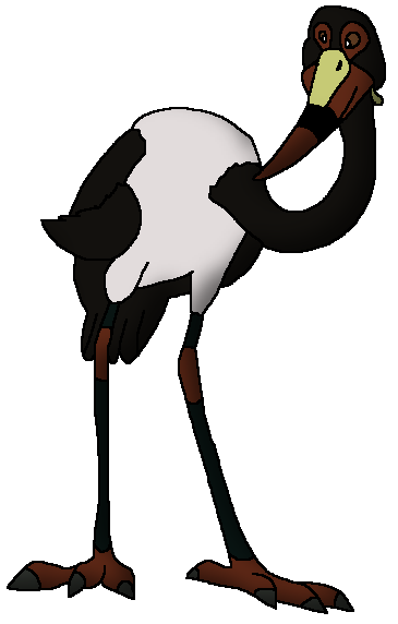 Saddle-Billed Stork | Wildlife Animal Pedia Wiki | Fandom