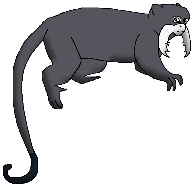 Emperor Tamarin | Wildlife Animal Pedia Wiki | Fandom