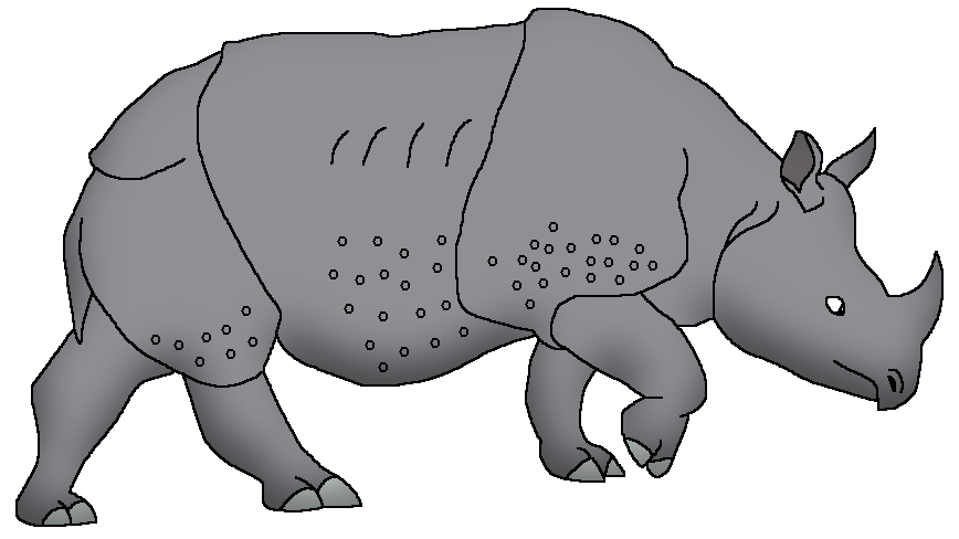 Indian Rhinoceros | Wildlife Animal Pedia Wiki | Fandom
