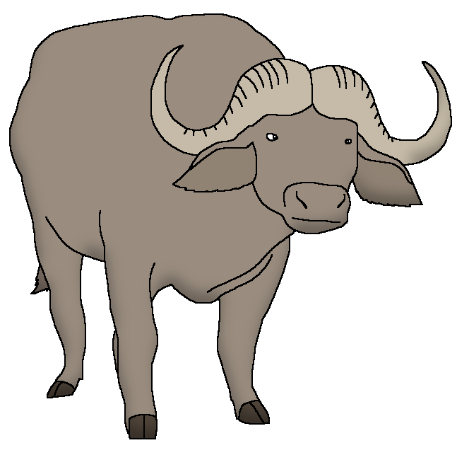 African Buffalo | Wildlife Animal Pedia Wiki | Fandom
