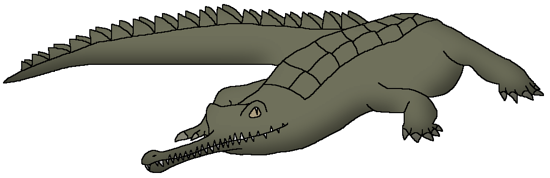 Gharial | Wildlife Animal Pedia Wiki | Fandom