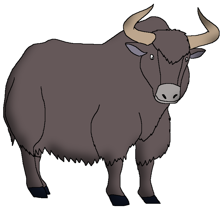 Wild Yak | Wildlife Animal Pedia Wiki | Fandom