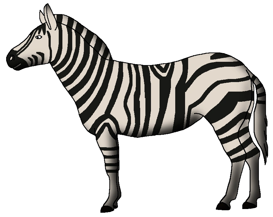 Grant's Zebra | Wildlife Animal Pedia Wiki | Fandom