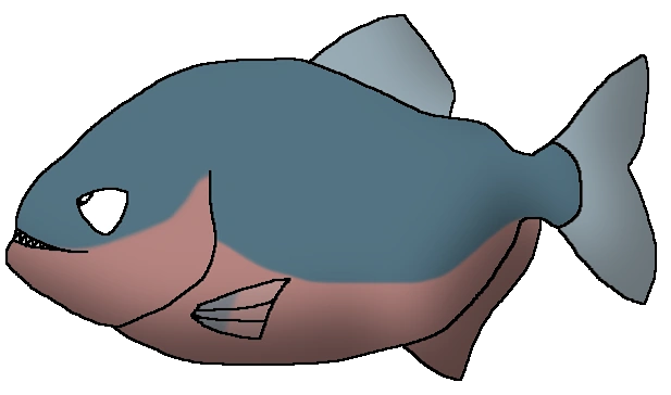 Red-Bellied Piranha | Wildlife Animal Pedia Wiki | Fandom