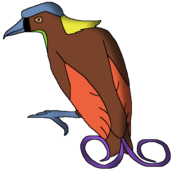 Wilson's Bird-of-Paradise | Wildlife Animal Pedia Wiki | Fandom