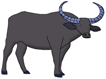 Wild Water Buffalo | Wildlife Animal Pedia Wiki | Fandom