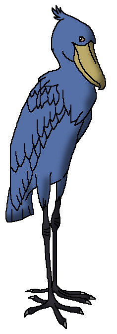 Shoebill | Wildlife Animal Pedia Wiki | Fandom