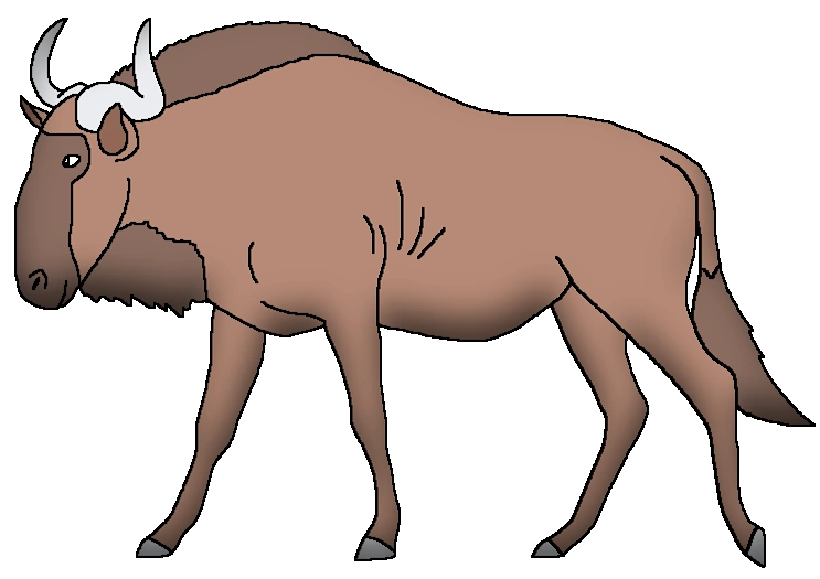 Blue Wildebeest | Wildlife Animal Pedia Wiki | Fandom