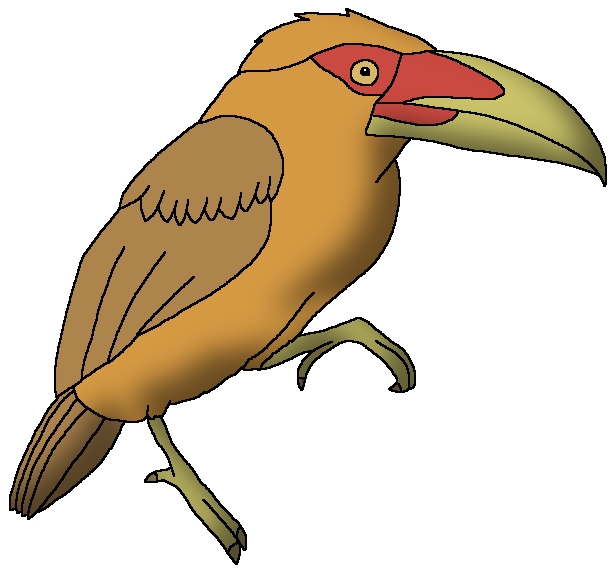 Saffron Toucanet | Wildlife Animal Pedia Wiki | Fandom