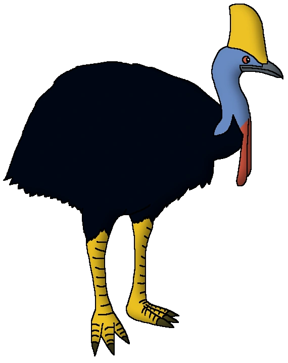 Southern Cassowary | Wildlife Animal Pedia Wiki | Fandom