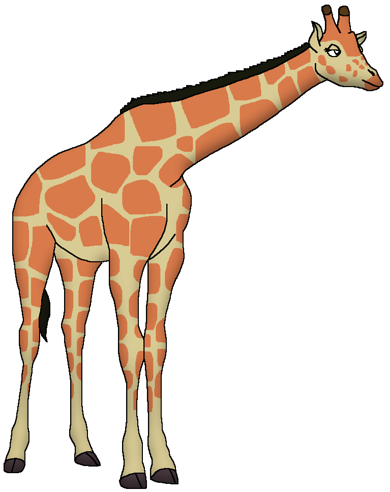 Reticulated Giraffe | Wildlife Animal Pedia Wiki | Fandom