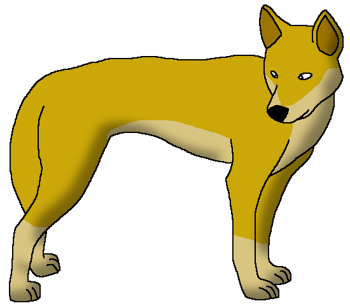 Dingo | Wildlife Animal Pedia Wiki | Fandom