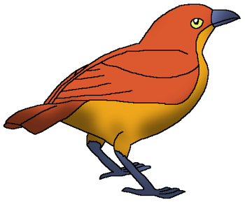 Vogelkop Bowerbird | Wildlife Animal Pedia Wiki | Fandom