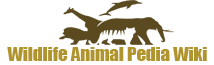 Animals | Wildlife Animal Pedia Wiki | Fandom
