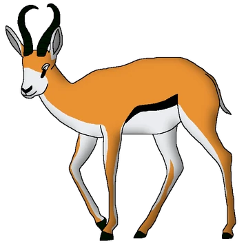 Springbok