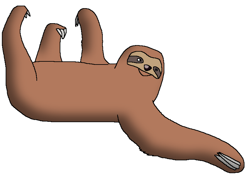 Brown-Throated Sloth | Wildlife Animal Pedia Wiki | Fandom