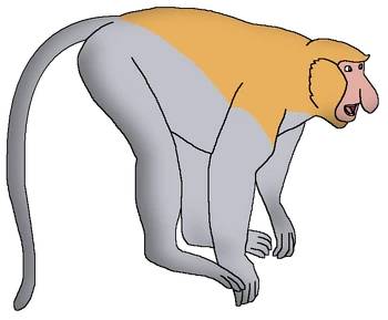Proboscis Monkey | Wildlife Animal Pedia Wiki | Fandom