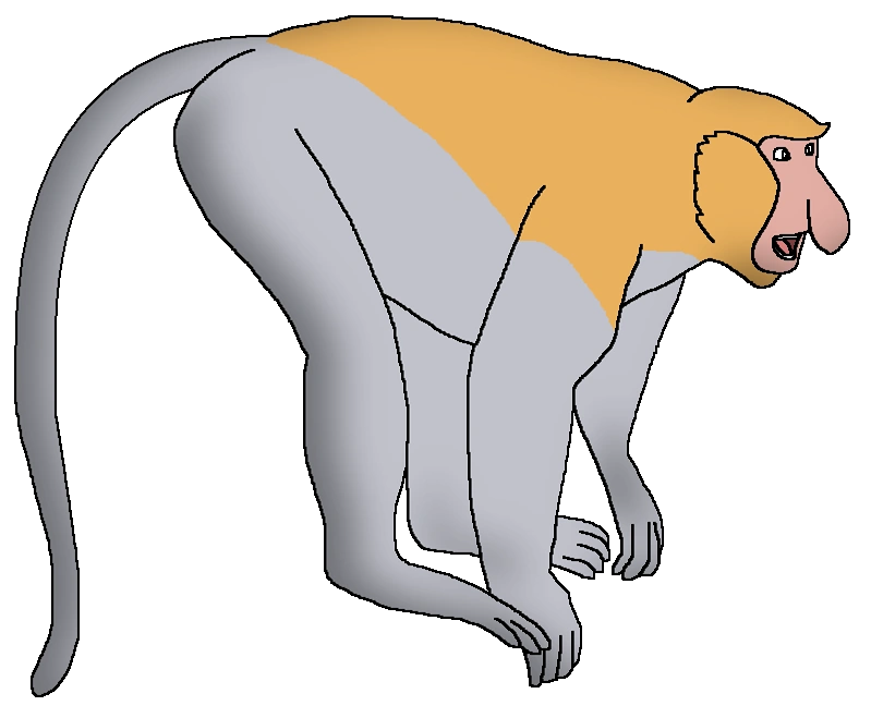 Proboscis Monkey | Wildlife Animal Pedia Wiki | Fandom