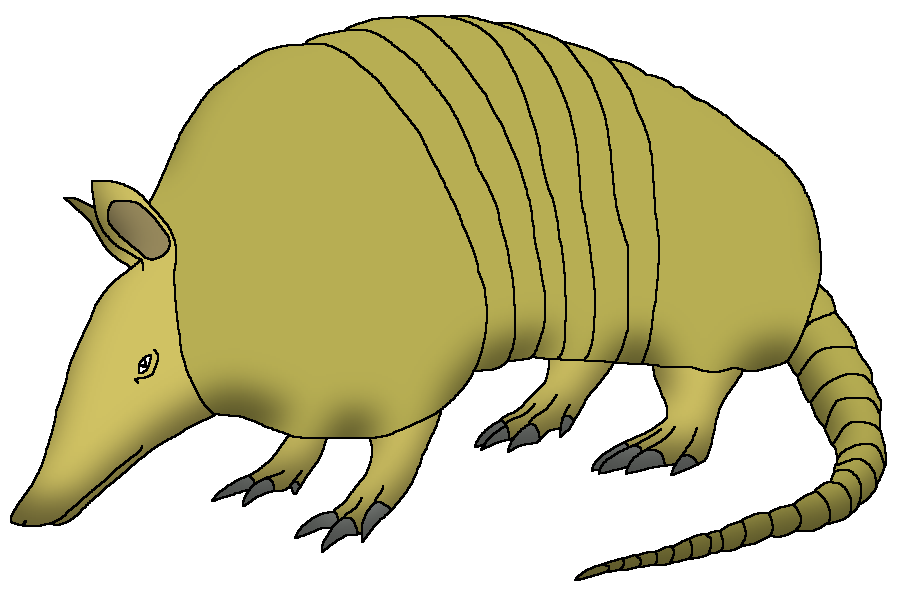 Nine-Banded Armadillo | Wildlife Animal Pedia Wiki | Fandom