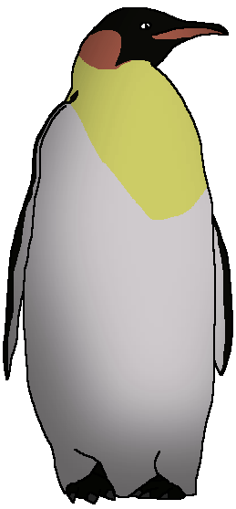 Emperor Penguin | Wildlife Animal Pedia Wiki | Fandom