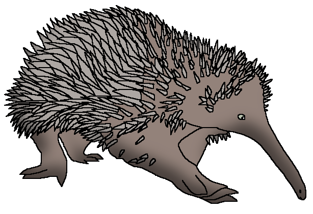 Western Long-Beaked Echidna | Wildlife Animal Pedia Wiki | Fandom